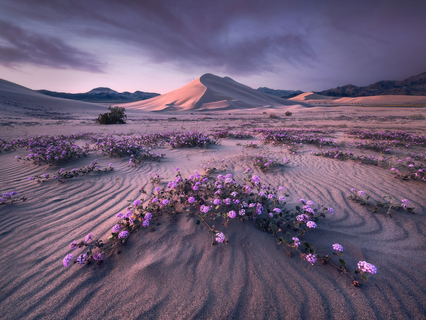 Wild Eye: An Outdoor Photography Magazine