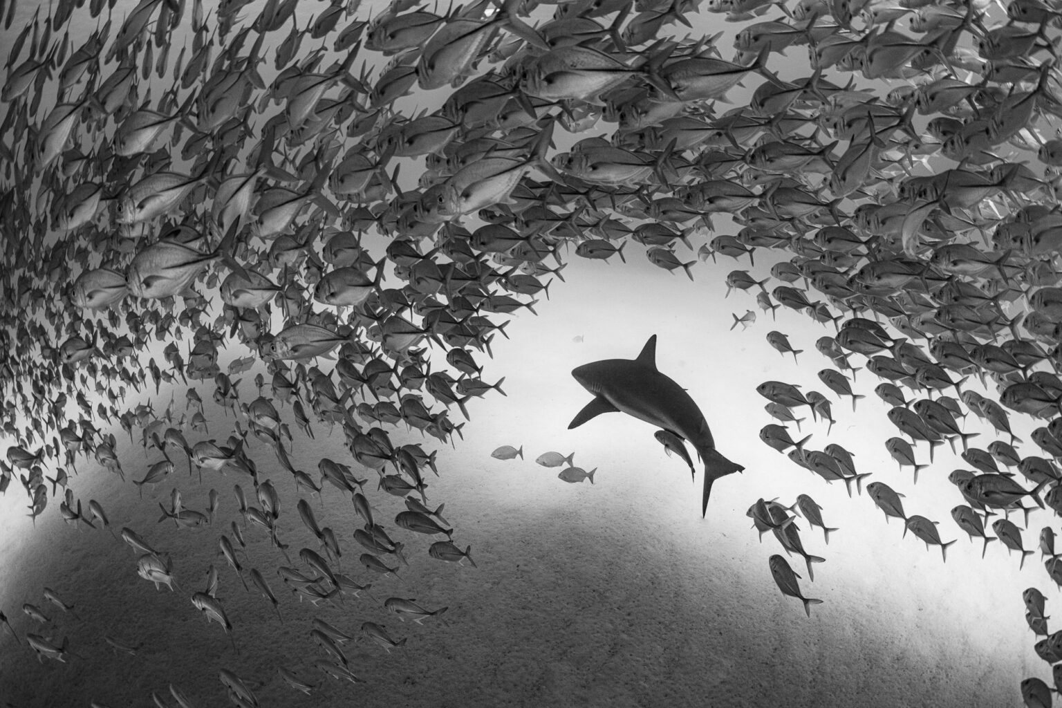 7 Winners from International Landscape Photographer of the Year - Wild ...