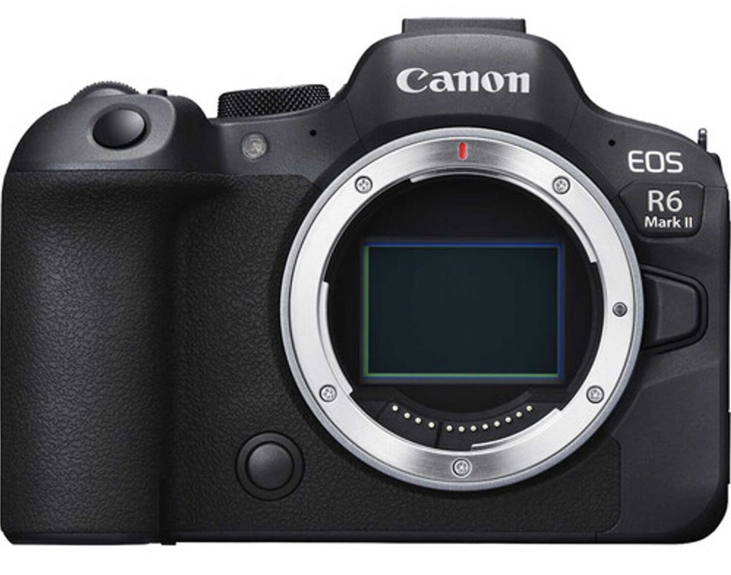 The Best Cameras for Wildlife Photography in 2024 - Wild Eye Magazine