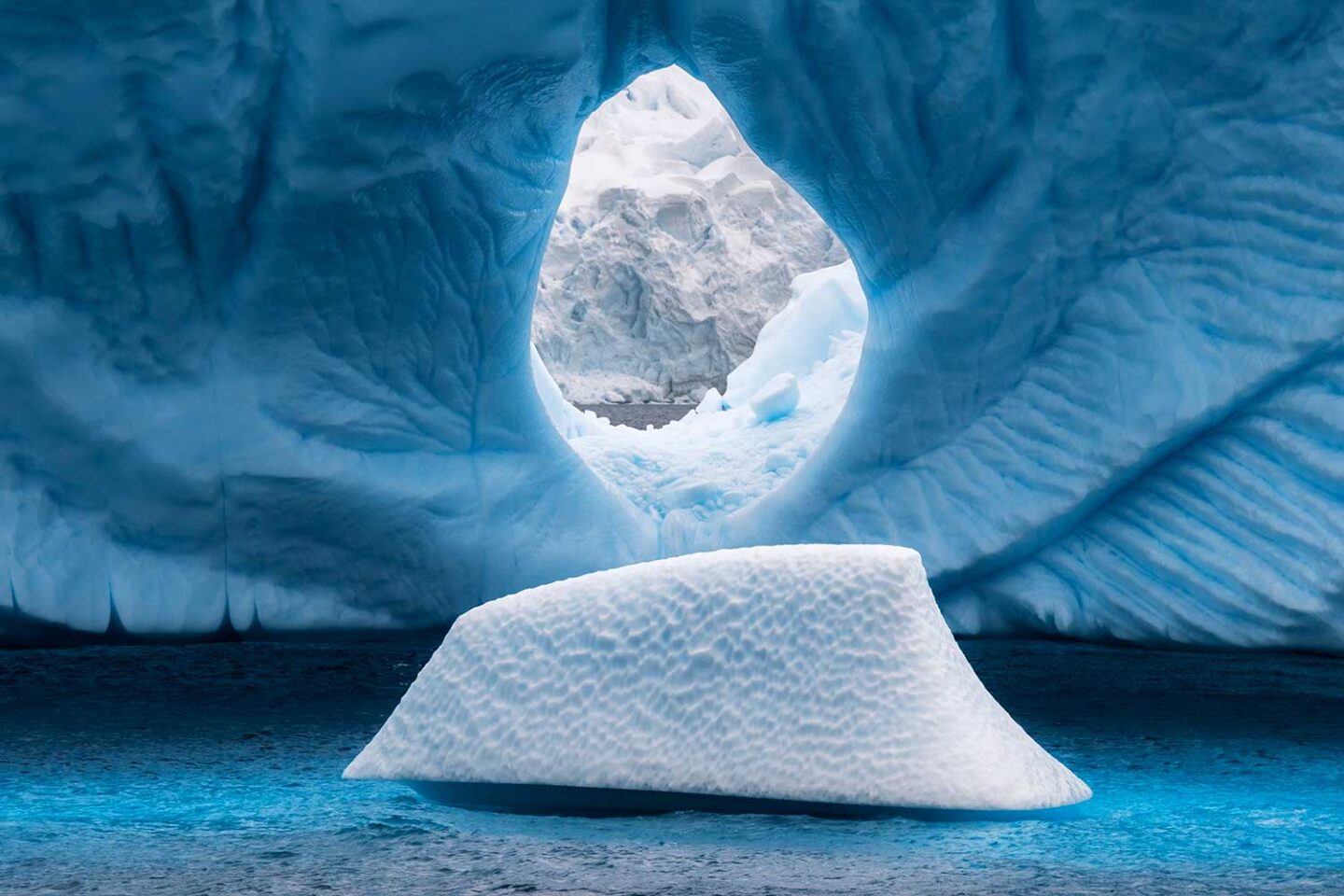 7 Reasons Why Real Photography Is Better Than AI - Wild Eye Magazine