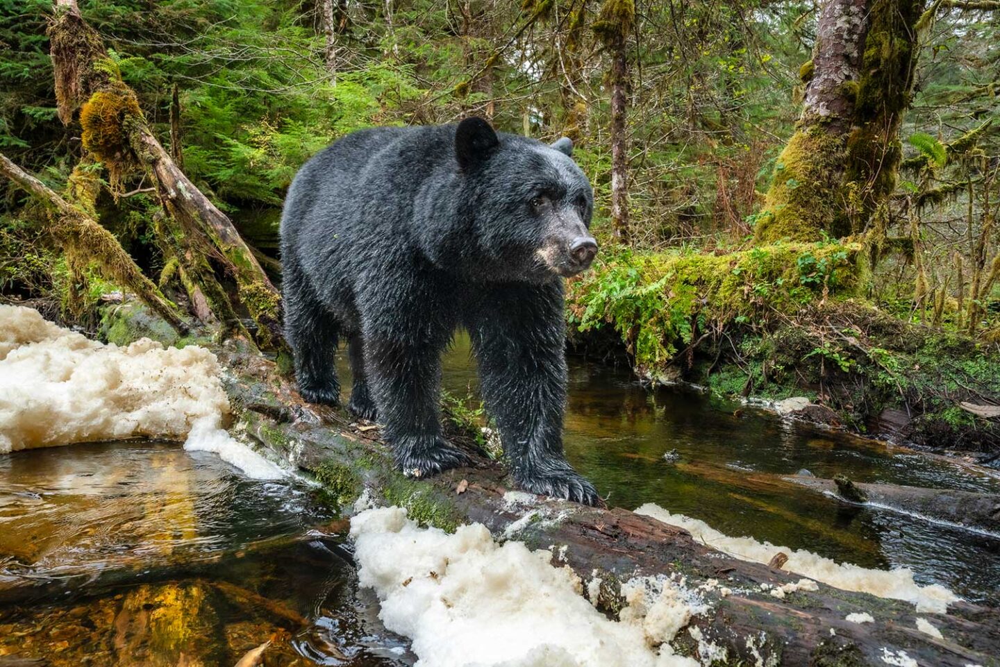 Photography Tips & Techniques: Outdoor Photography Magazine