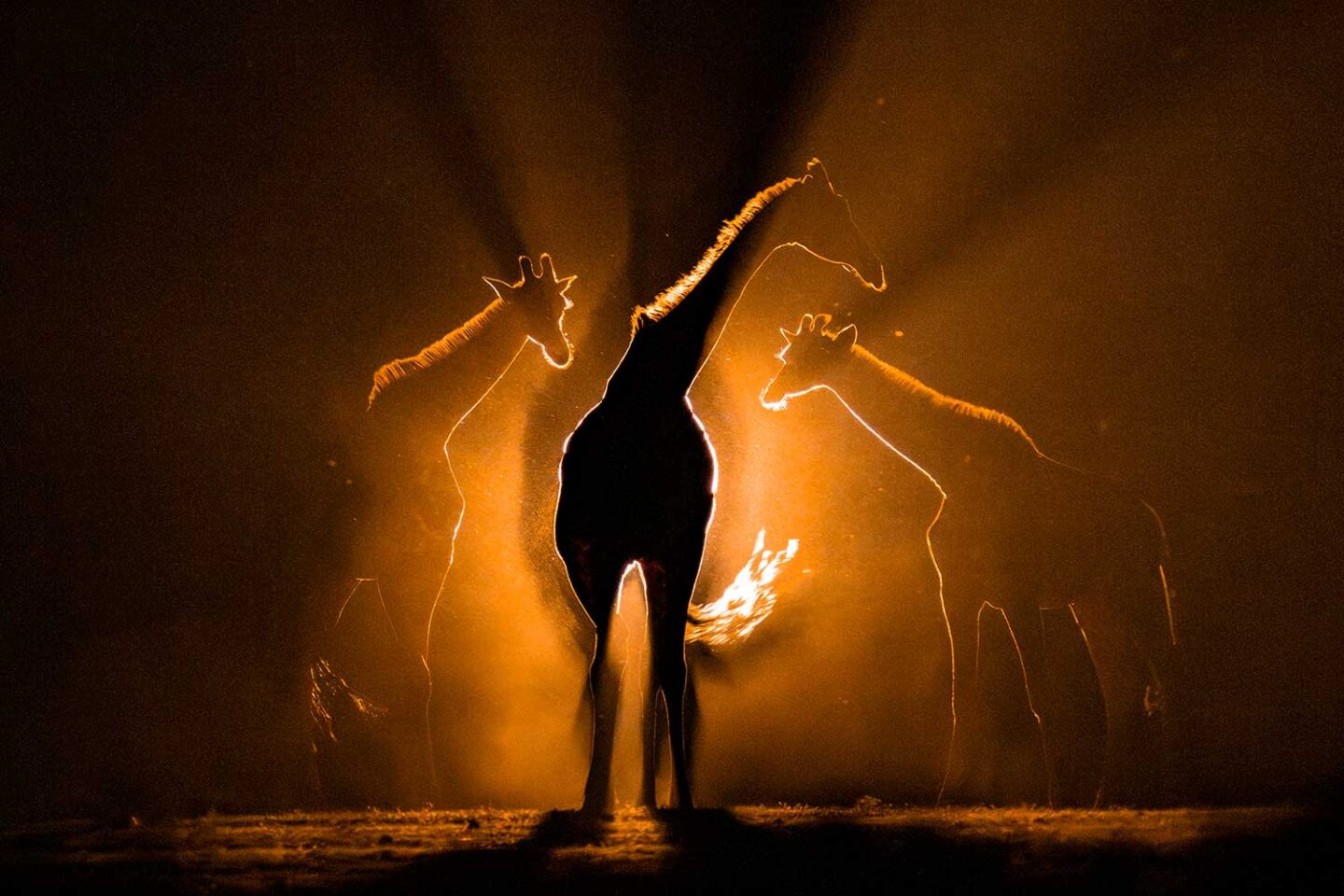 Wild Eye magazine: Top Photography & Landscape Magazine