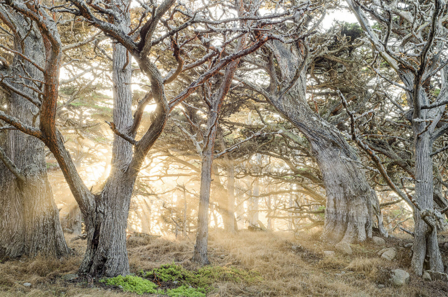 5 Reasons Why Earth Day Matters More Than Ever - Wild Eye Magazine