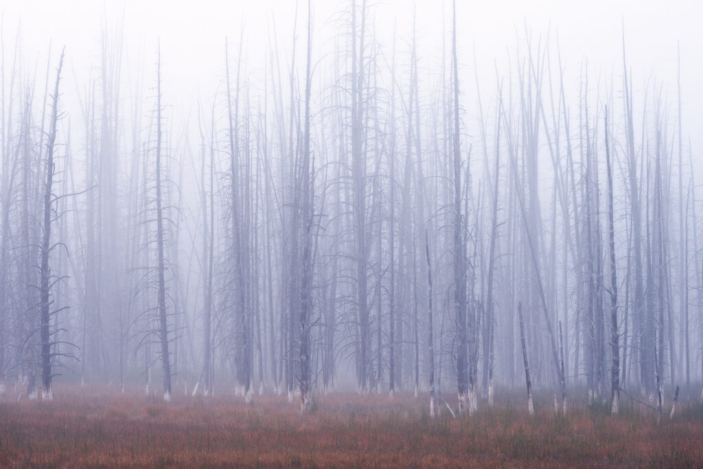 Reimagining How to Frame the Landscape of Yellowstone National Park ...