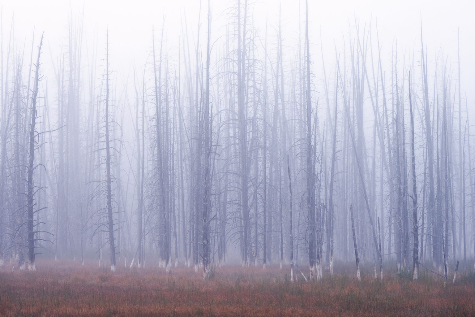 Reimagining How to Frame the Landscape of Yellowstone National Park ...