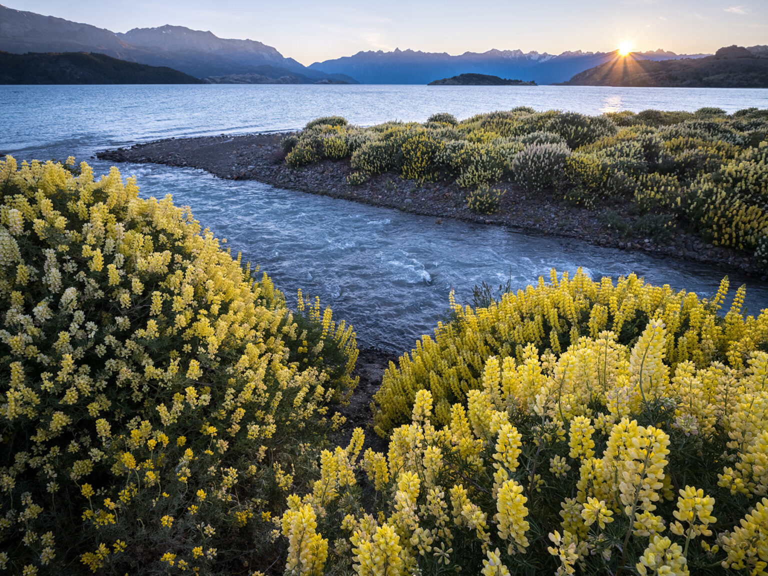 How Photographers Impact Conservation Campaigns - Wild Eye Magazine